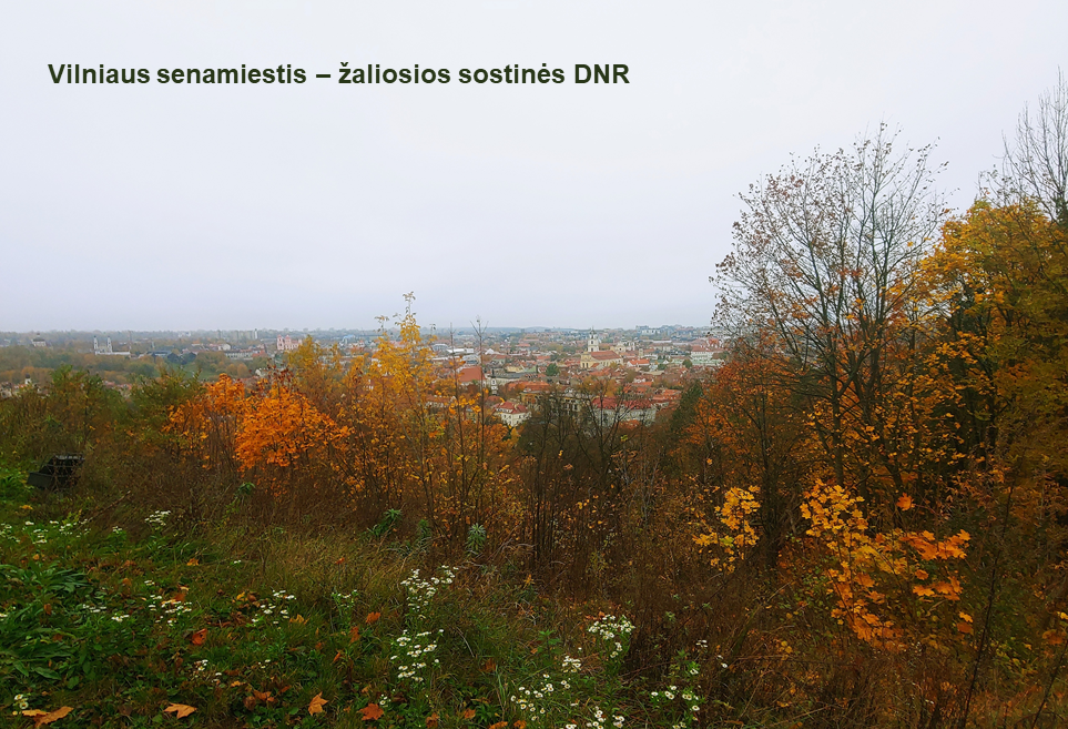 Vilniaus senamiestis – žaliosios sostinės DNR – VILNIAUS SENAMIESČIO ...
